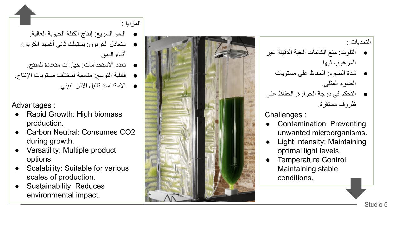 DIY Algae Reactor - مفاعل الطحالب – SCOPES-DF